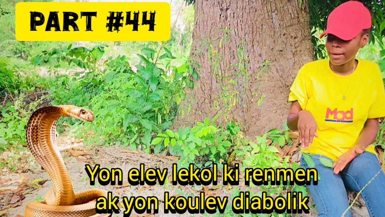 yon elev lekol ki renmen ak yon koulev diabolik part #44/wooooyyy jenny ...