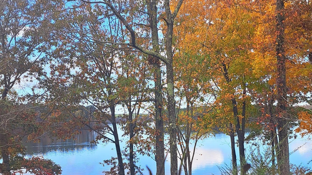 Right Between the Limbs - YouTube