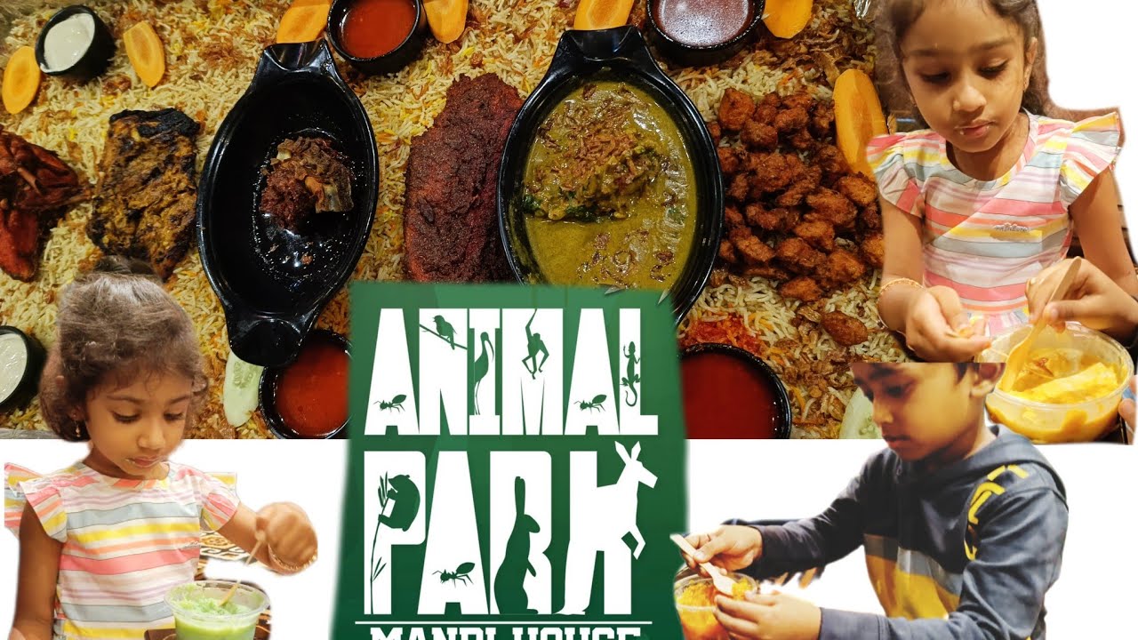 animal park 😍 mandi house🏠 😍//best place to foodies 😍 - YouTube