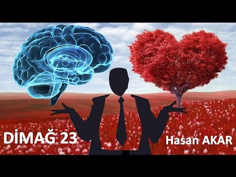 Dimağ 23 - İlhamın Mertebeleri, Şumüllü İlham  (2017.02.19)