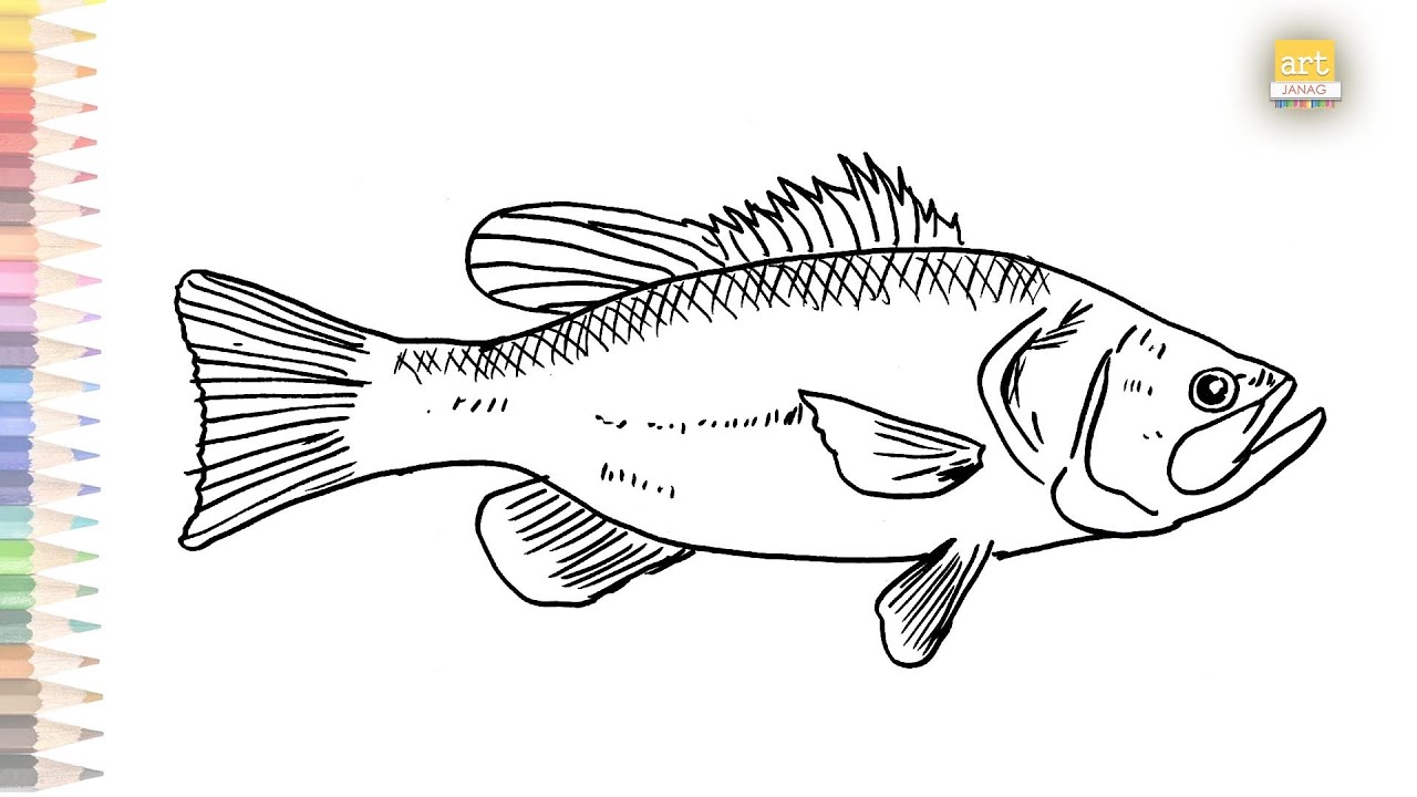 River fish drawing easy | How to draw A River fish step by step | Draw ...