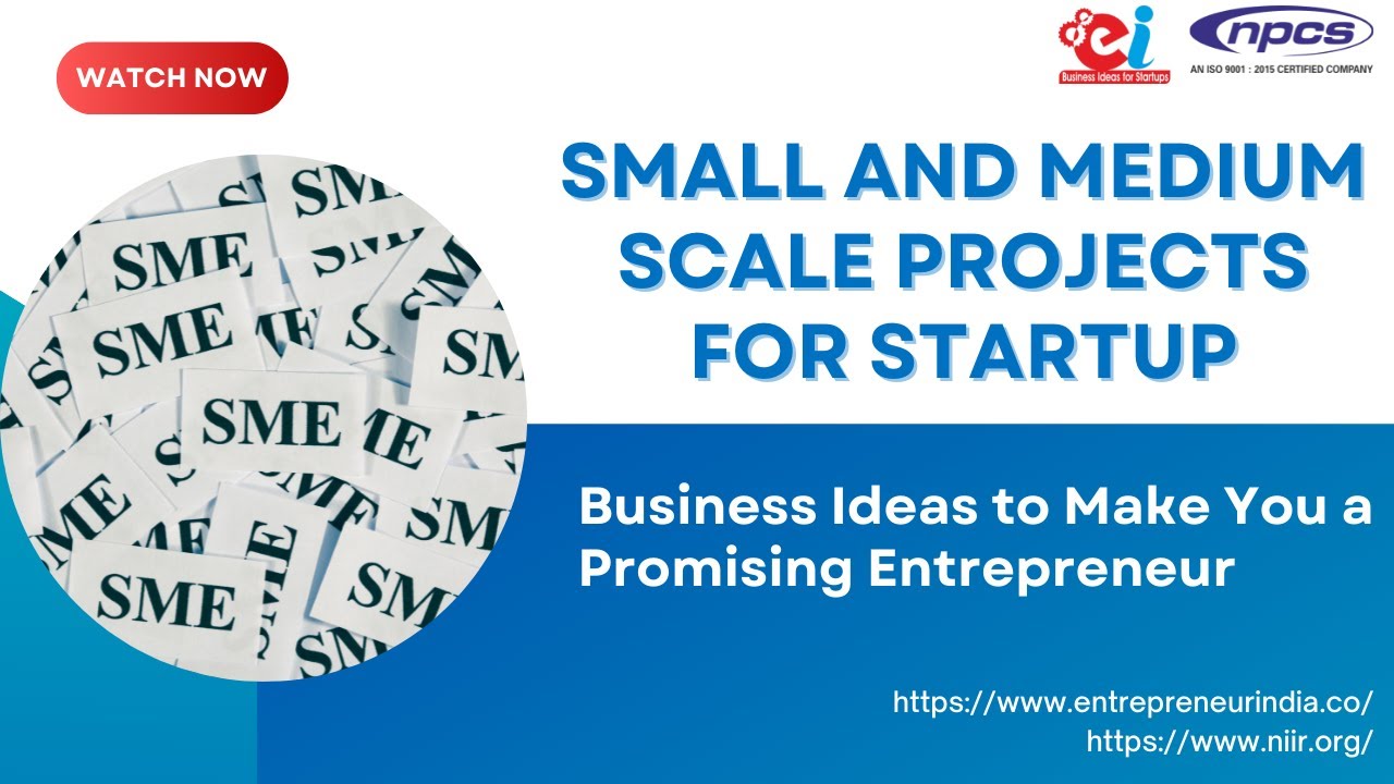 Small and Medium Scale Projects for Startup. Business Ideas to Make You ...