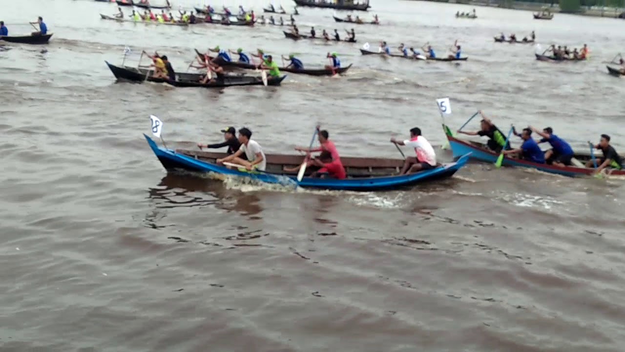 Kemeriahan Lomba pacu sampan dayung HUT RI 72 - YouTube