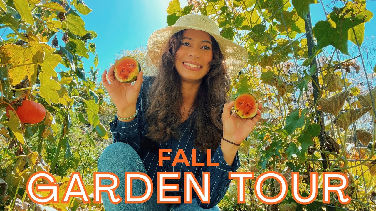 Giant carrots and tiny melons | Fall Garden Tour - YouTube