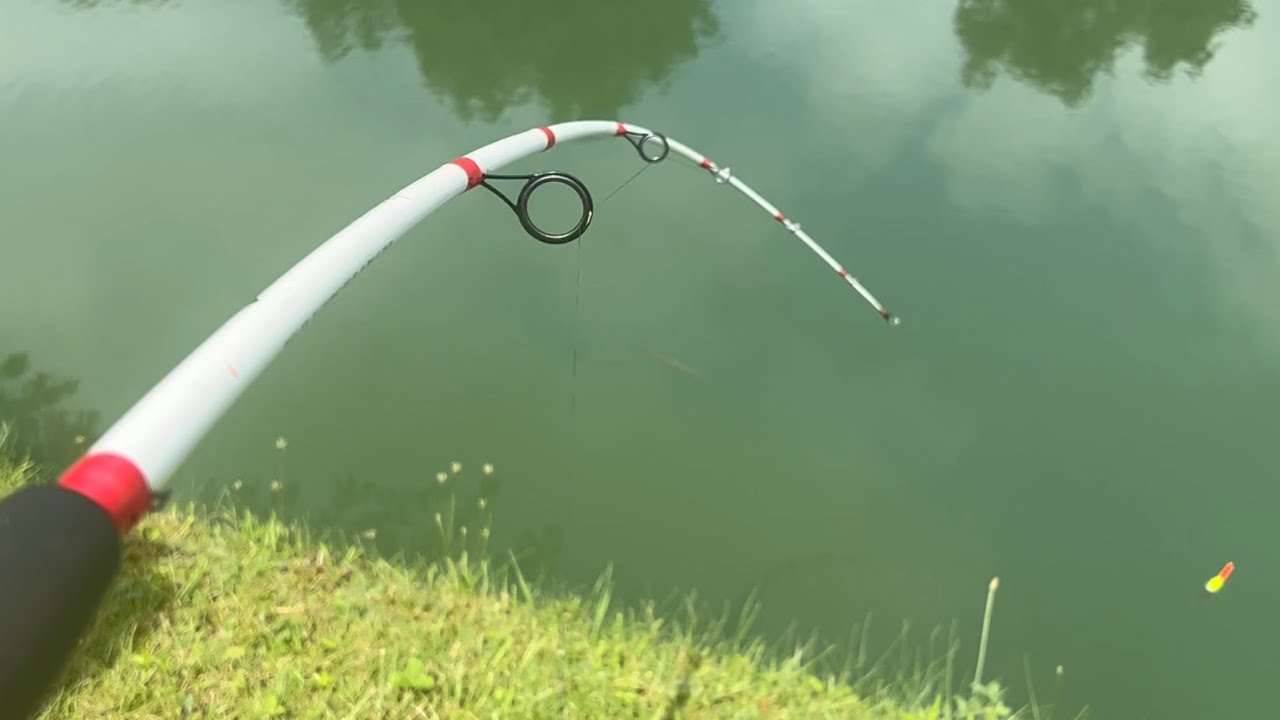 Only ONE MONSTER Can EVER Make This EPIC Fishing Rod BEND! - YouTube