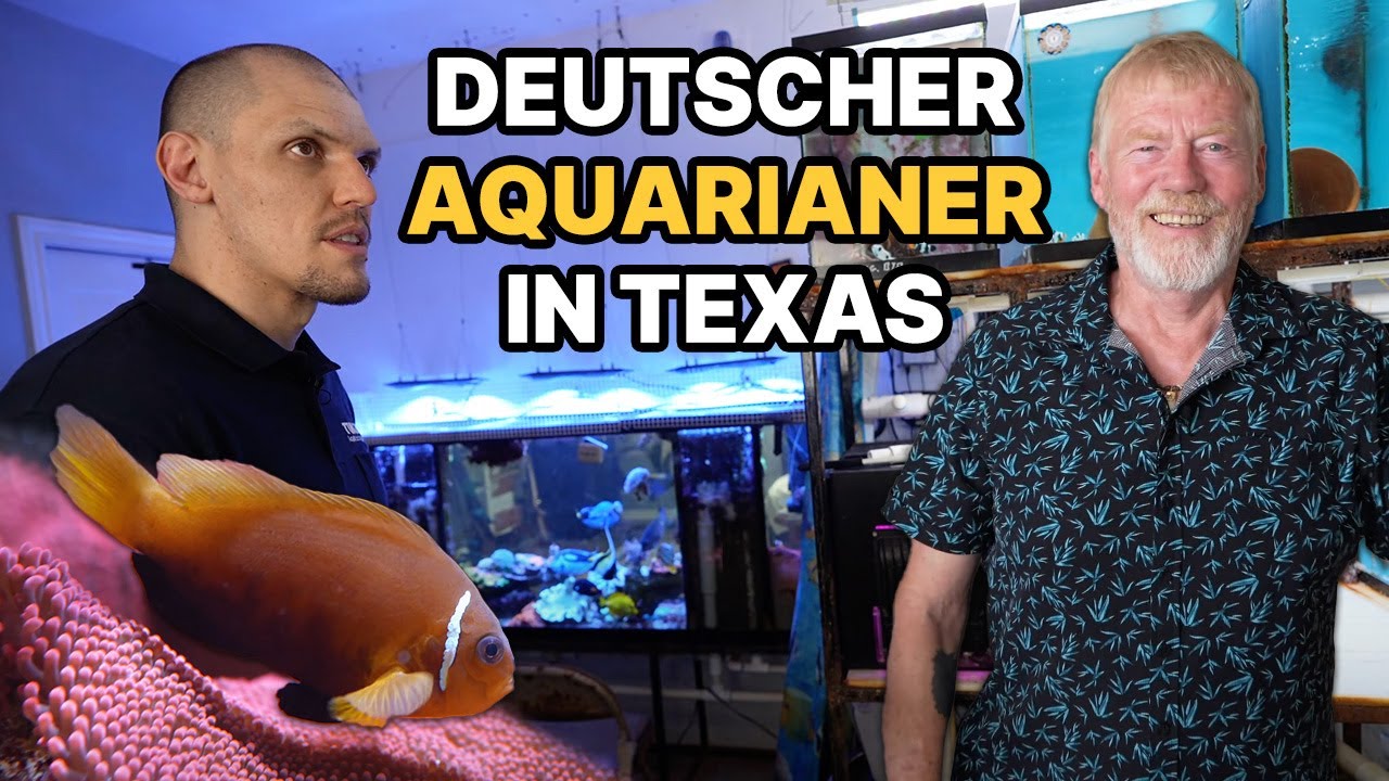 Ein Deutscher seit 1985 in TEXAS! - Reinhardt's Aquaristik-Geschichte ...