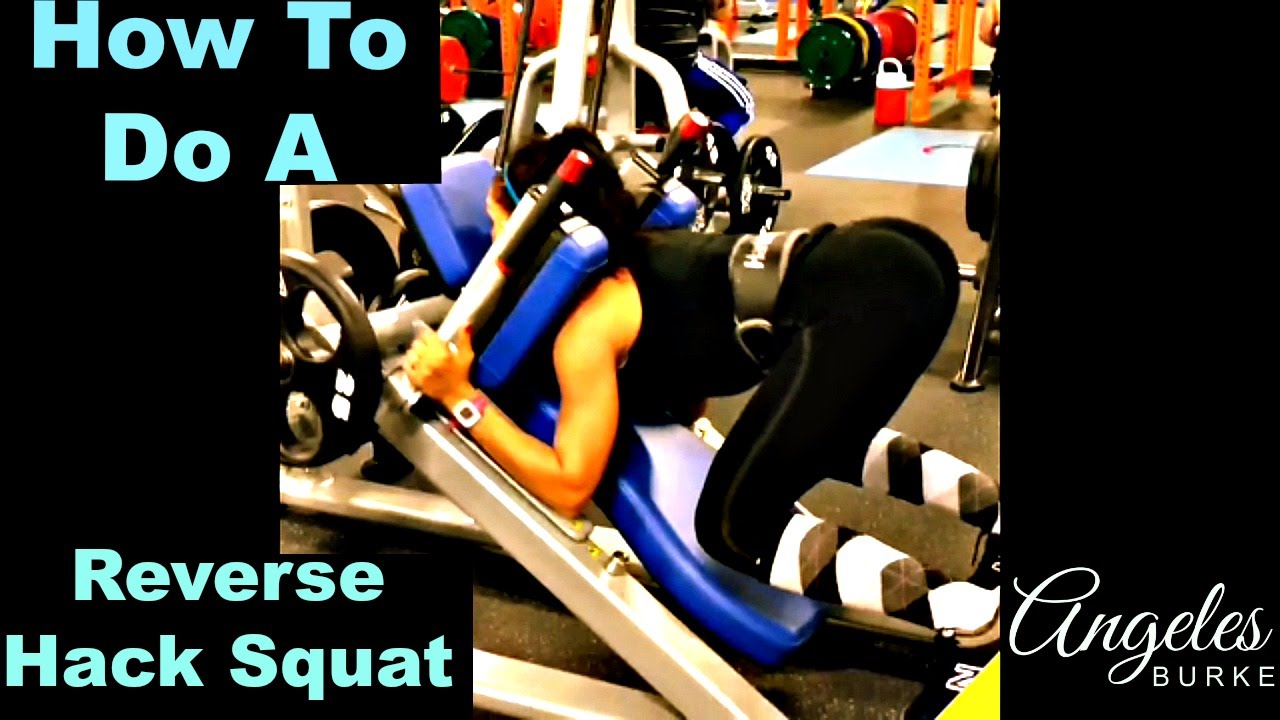 How To Do A Reverse Hack Squat - YouTube