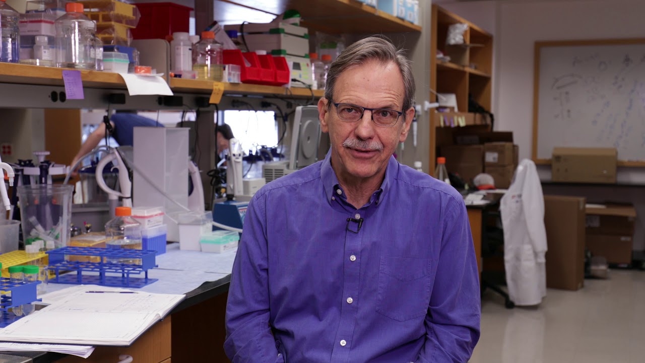 Timothy Springer: IPI co-founder - YouTube