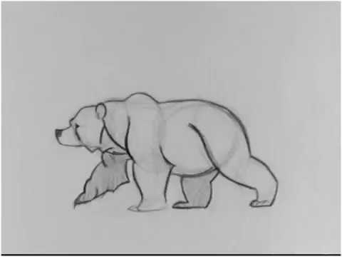 Bear Run Cycle