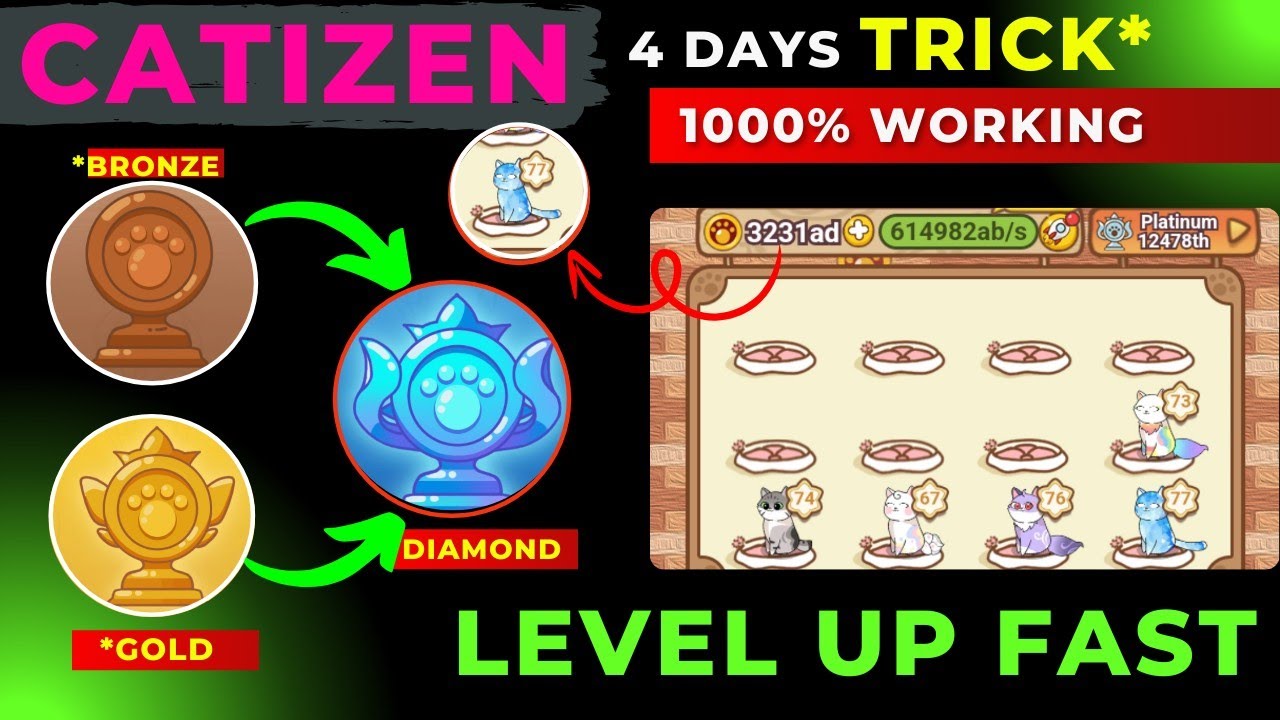 Catizen Airdrop 4000X Level Boost Trick | PLATINUM - DIAMOND Master ...