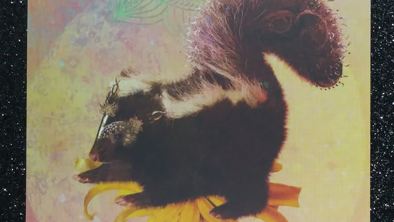 Skunk Spirit Daily Guidance #skunk #spirit #message #knowyourworth # ...