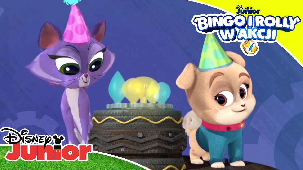 🐶 Robo urodziny | Bingo i Rolly w akcji | Disney Junior Polska - YouTube
