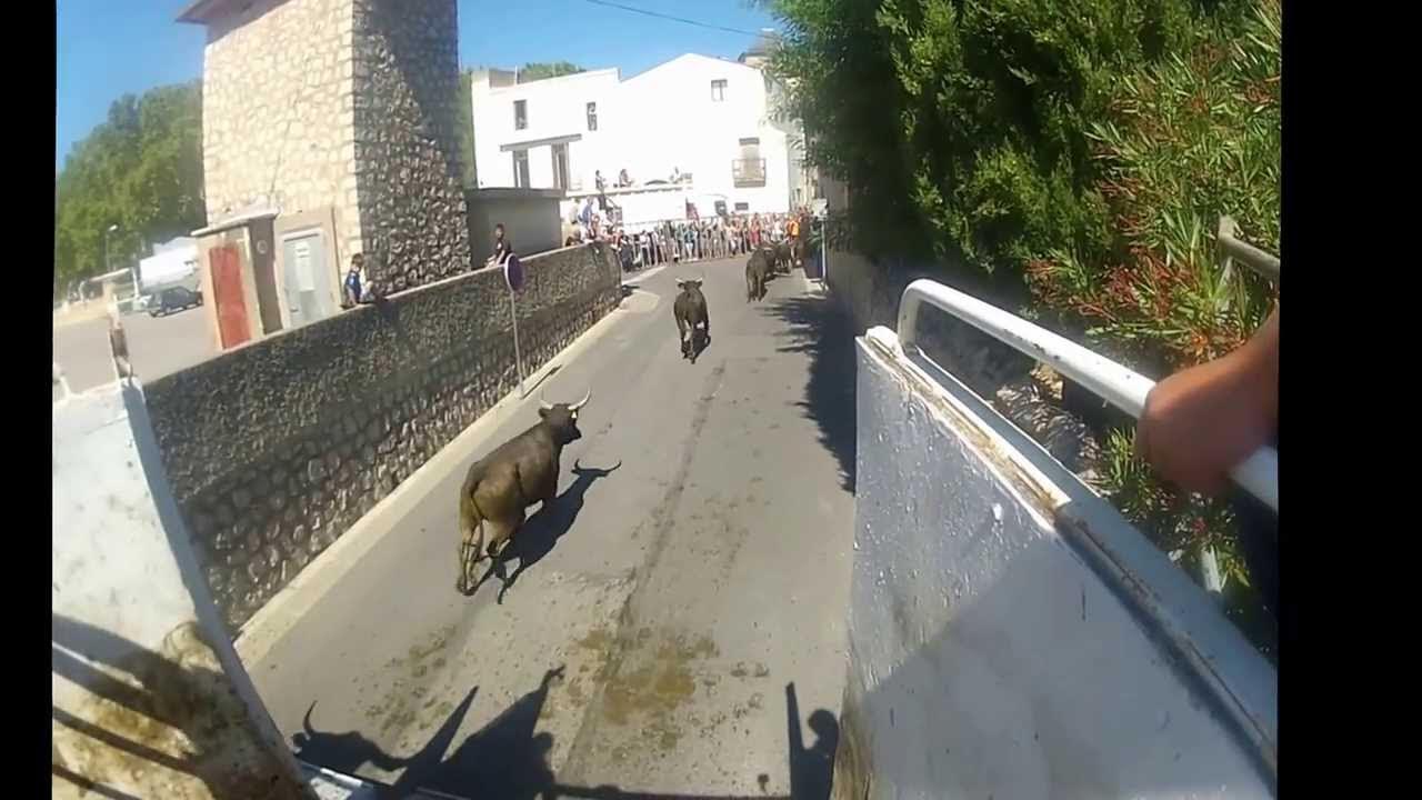 Pignan 2013 manade Vellas - YouTube