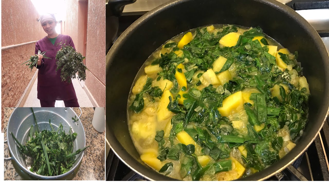 Harvesting moringa leaves in union leaves simply viand for ofw - YouTube