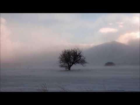 Bedir dilekci - Mustafa ve Arab Alkan'ın ağıdı