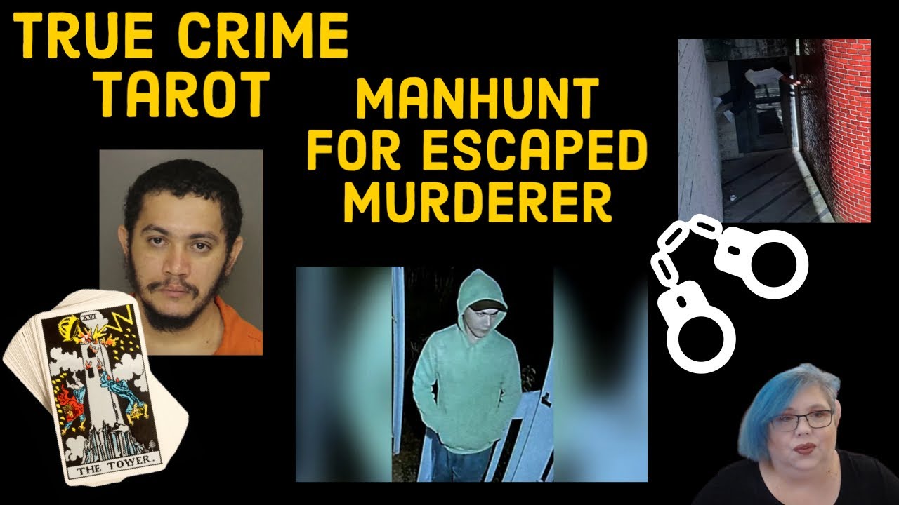 True Crime Tarot: Manhunt of Danelo Cavalcante Convicted Killer of Ex ...