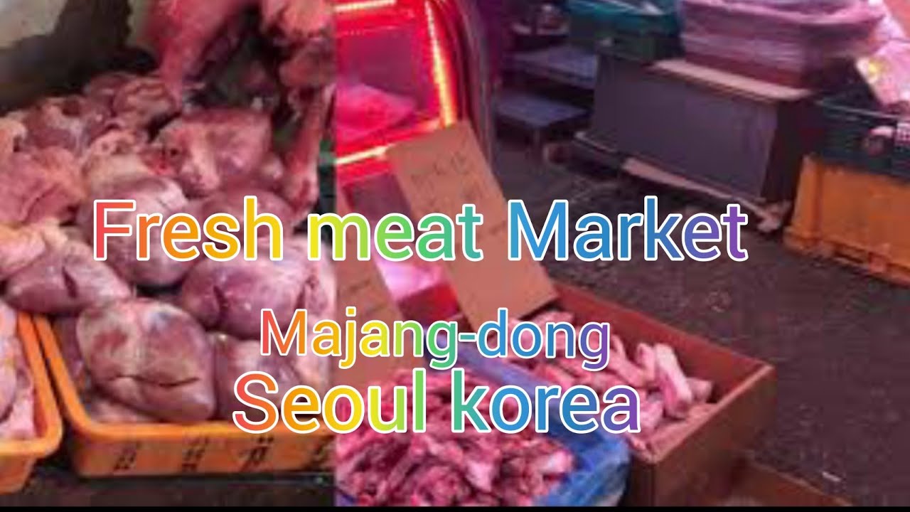 Going to the Meat Market @ Majang-dong Seoul Korea with my bicycle ...