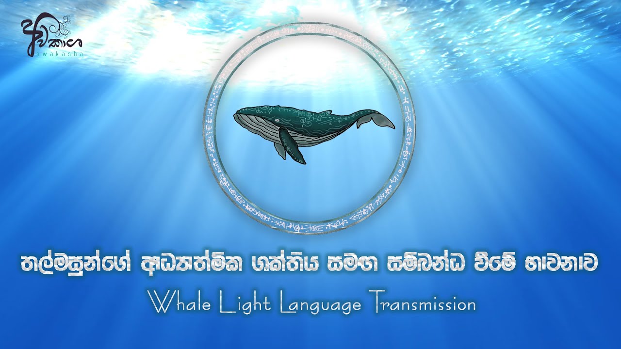 Whale Light Language Transmission - YouTube