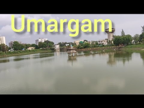 Akra maruti in Umargam Valsad Gujarat #viral #blogger #vilogs - YouTube