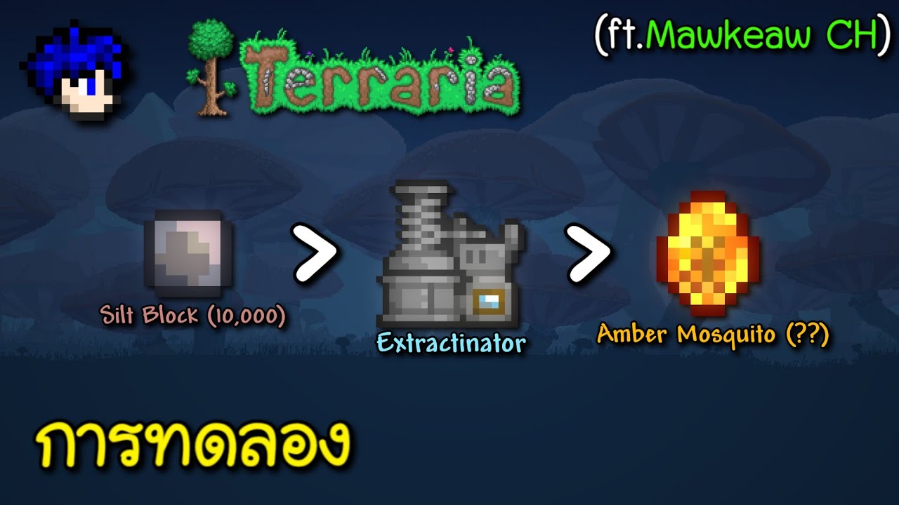 การทดลองสกัด Silt Block จำนวน 10,000 จะได้ Amber Mosquito กี่ชิ้น ...