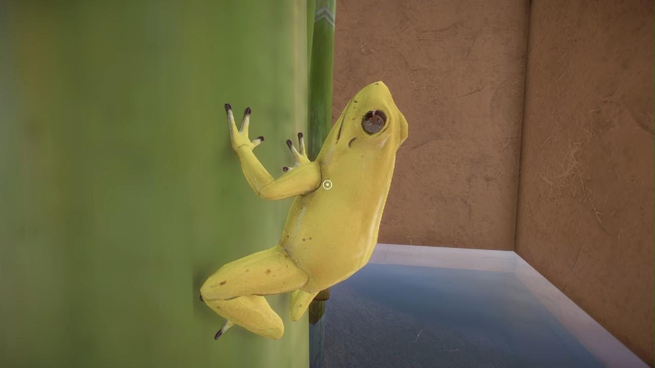 Planet Zoo: Golden Poison Frog - YouTube
