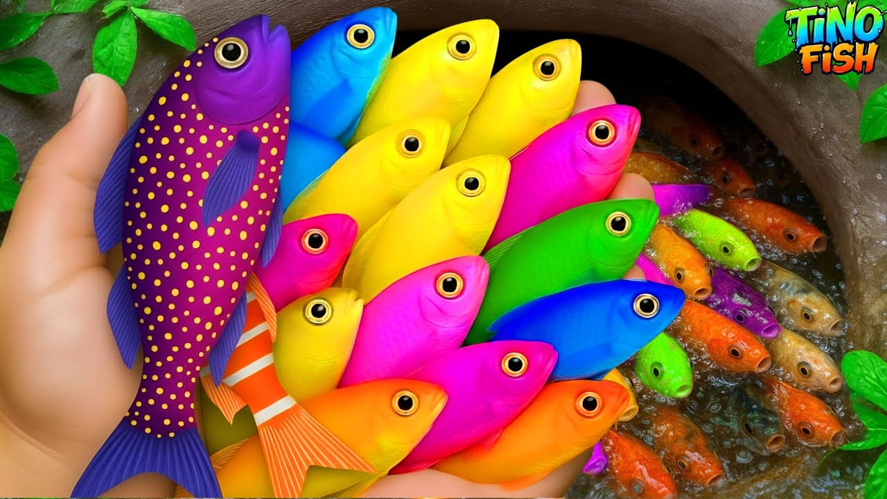 I get colorful ornamental fish in giant eggs, goldfish, moray eel ...