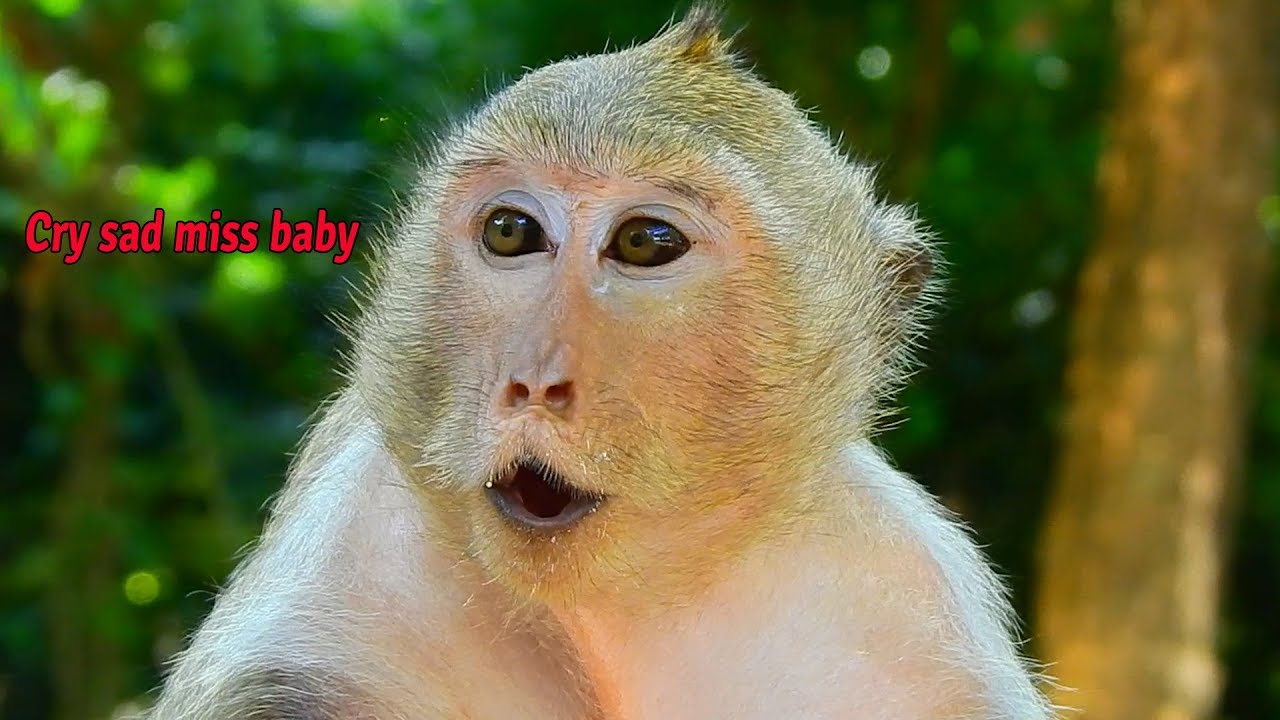 Million pity Danna cry sound very sad miss baby, can't stop my tear ...