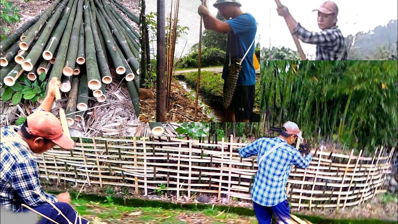 Making Bamboo fencing 🧱 how to make !! adi tribes Ledum# ...