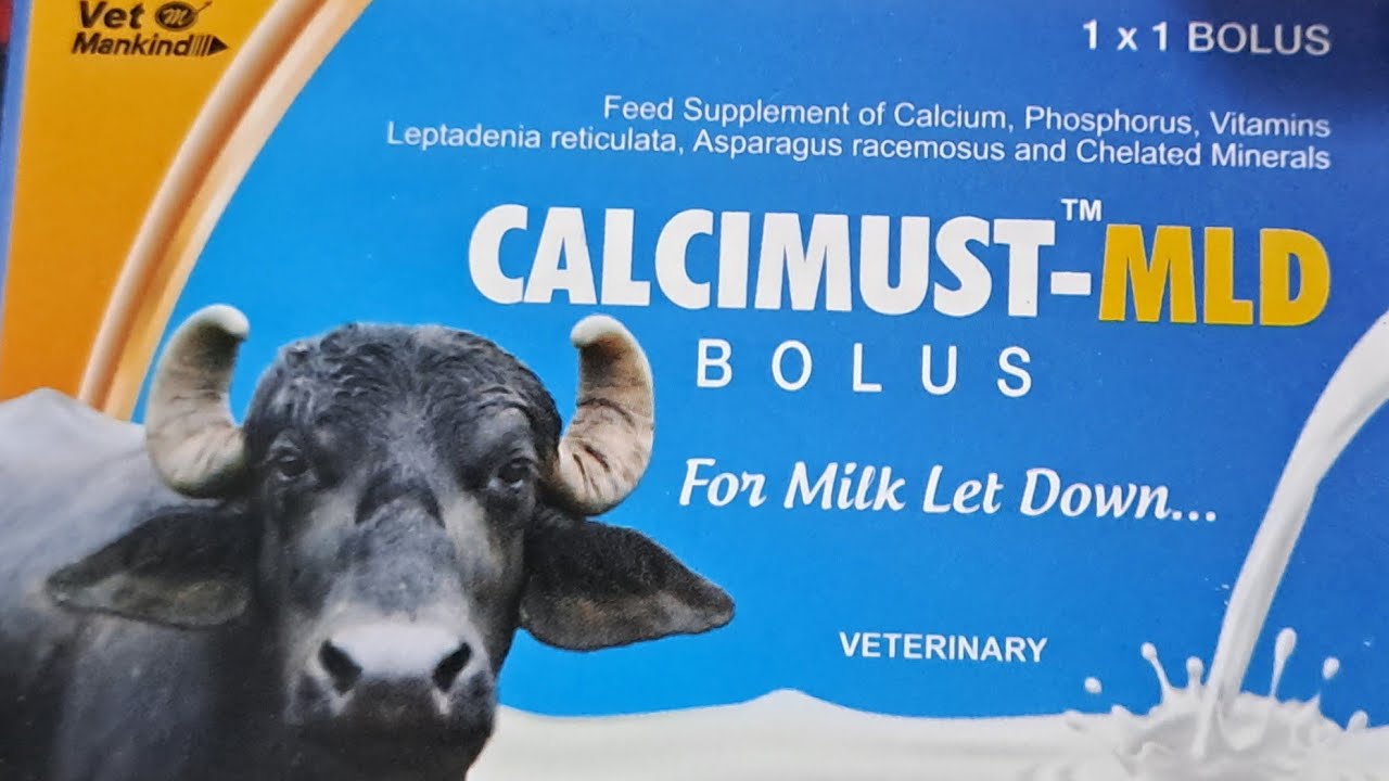 CALCIMUST-MLD BOLUS For Milk Let Down...VETERINARY, Feed Supplement of ...