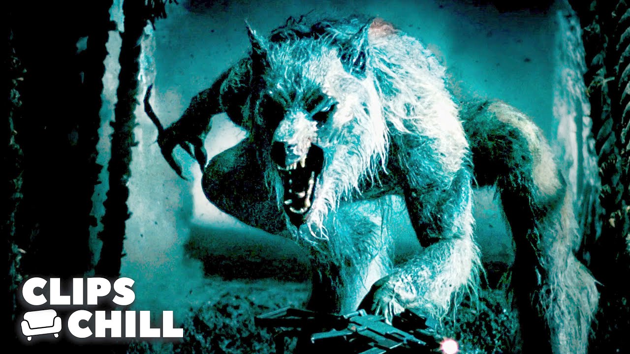 Underworld: Evolution - All The Best Action Scenes From The Movie - YouTube
