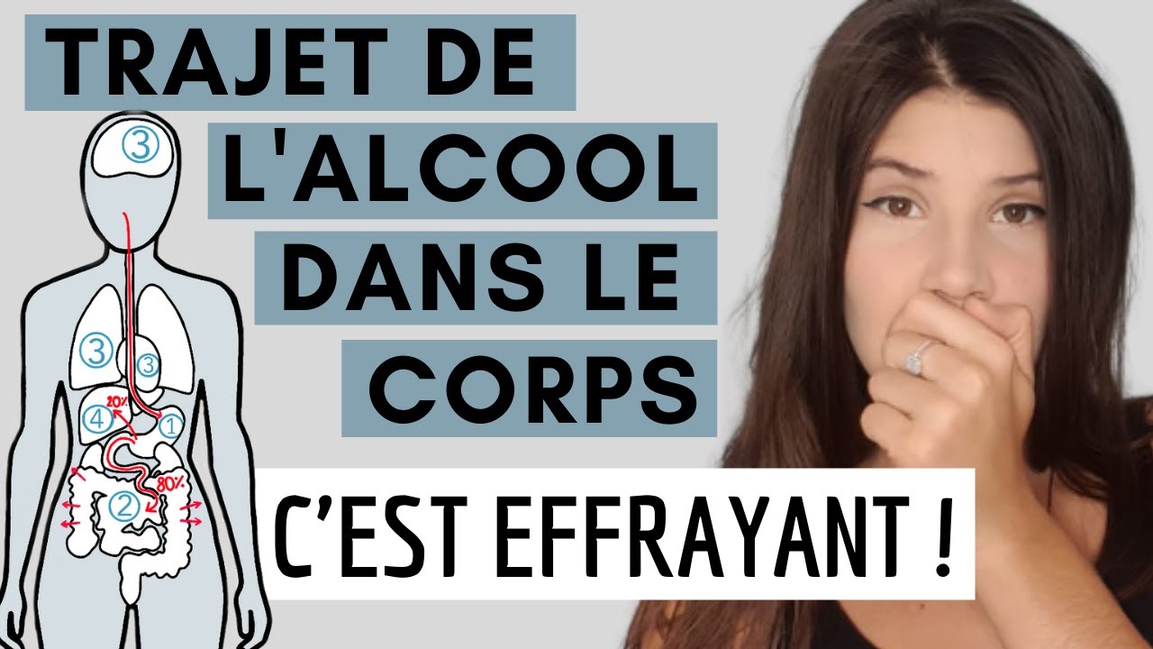 TRAJET DE l'ALCOOL DANS LE CORPS : c'est effrayant ! - YouTube