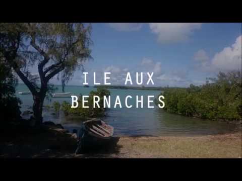 Ile Aux Bernaches, Mauritius - YouTube