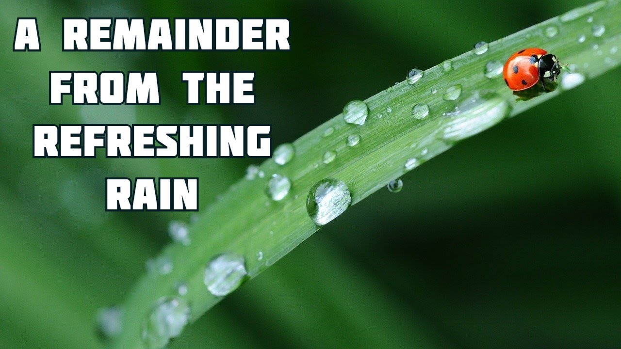 Nature Inspires through Refreshing Rain - YouTube