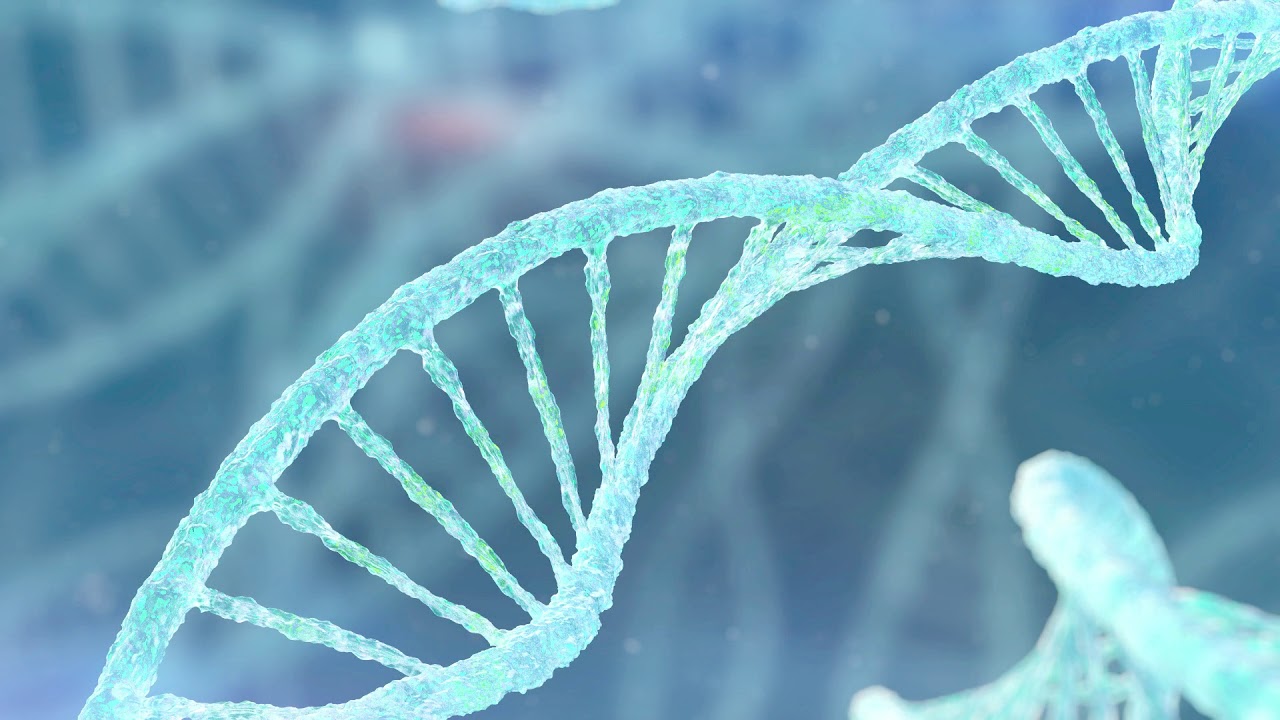 Discovery Life Sciences - The Life Science Industry's Leading Research ...