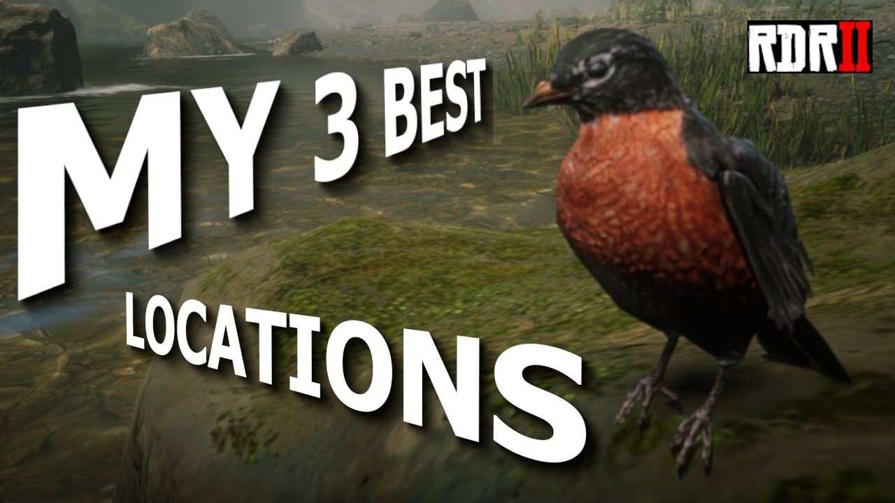 MY TOP 3 | Red Dead Redemption 2 Robin Location - YouTube