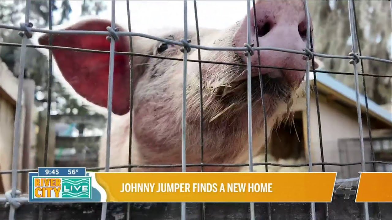 Johnny Jumper leaps to freedom, landing at EPIC outreach - YouTube