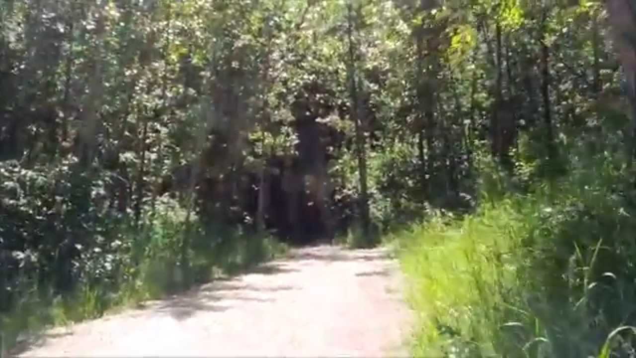 Kennedale Ravine, Edmonton, Alberta - YouTube