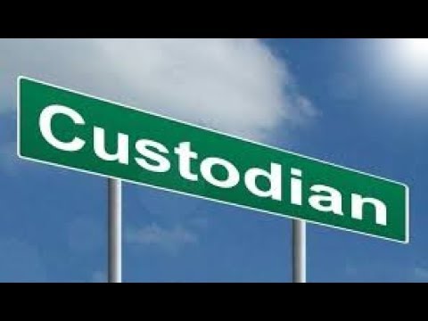 What is "custodian " - YouTube