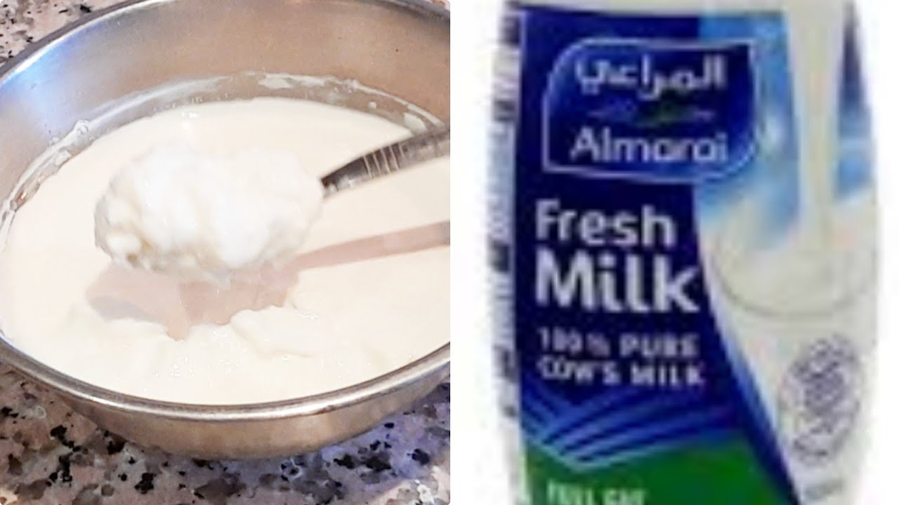 Home made thick yogurt recipe/How to make yogurt from Almarai milk ...