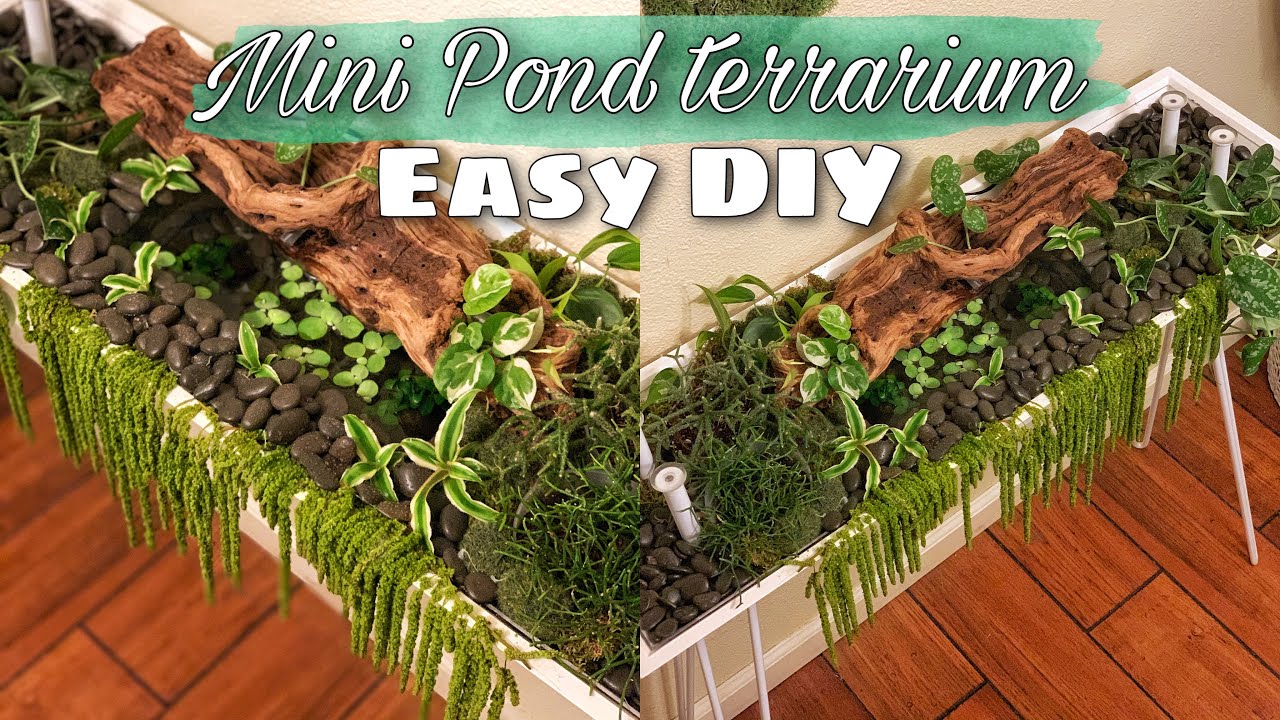 Mini Pond Table Terrarium 🌿| BloomingTables | - YouTube