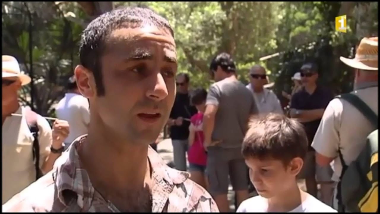 STAGE MICHAEL CABRERA SOURCIER - YouTube