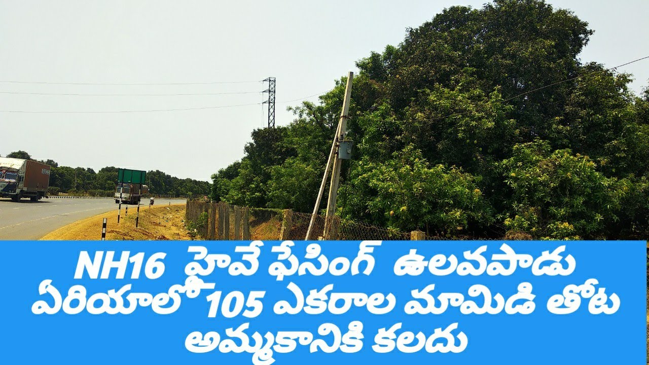 NH16 హైవే ఫేసింగ్ ఉలవపాడు ఏరియాలో 105 ఎకరాలు మామిడి తోట అమ్మకానికి కలదు ...