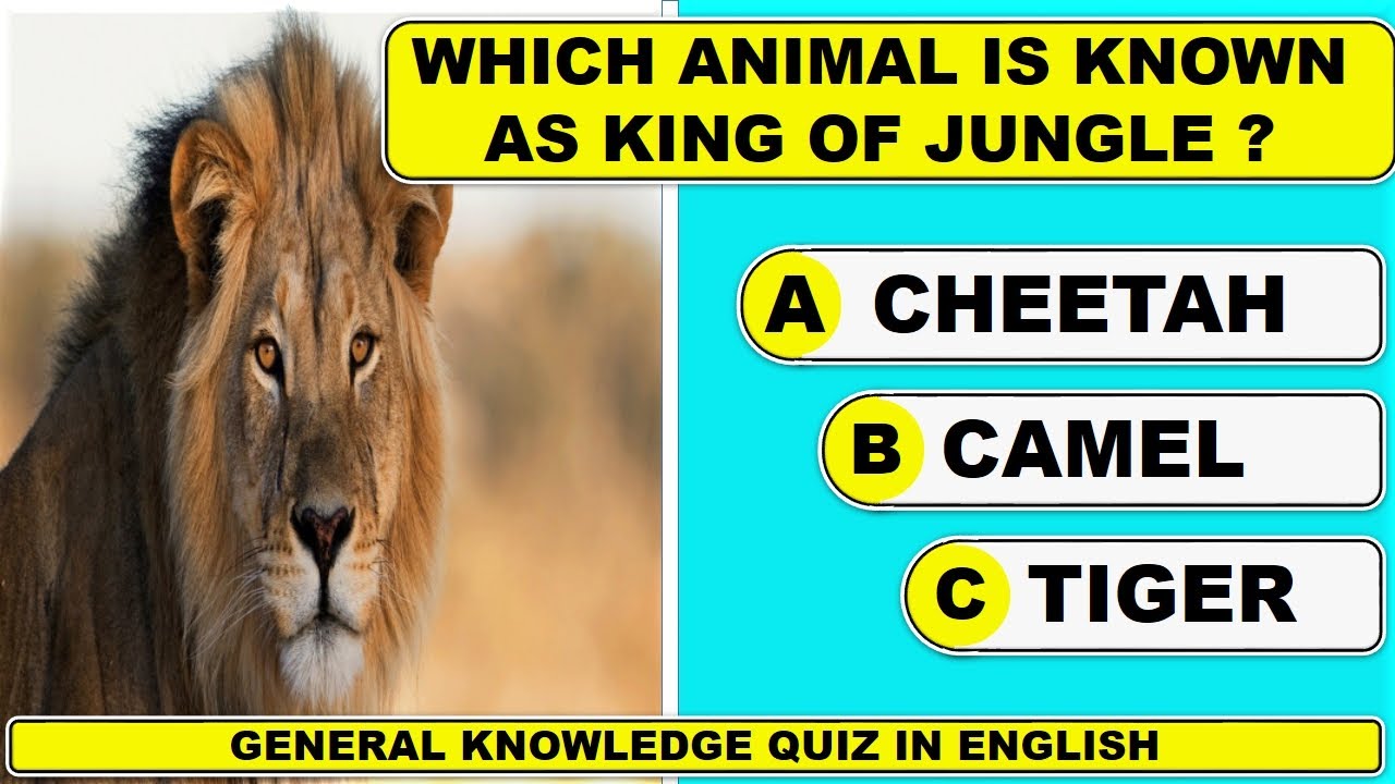 General Knowledge Quiz In English || World General Knowledge || World ...