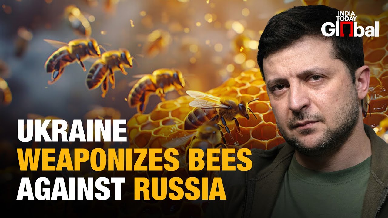 Ukraine Uses Beehives As Weapons Against Russian Troops | Insane War ...