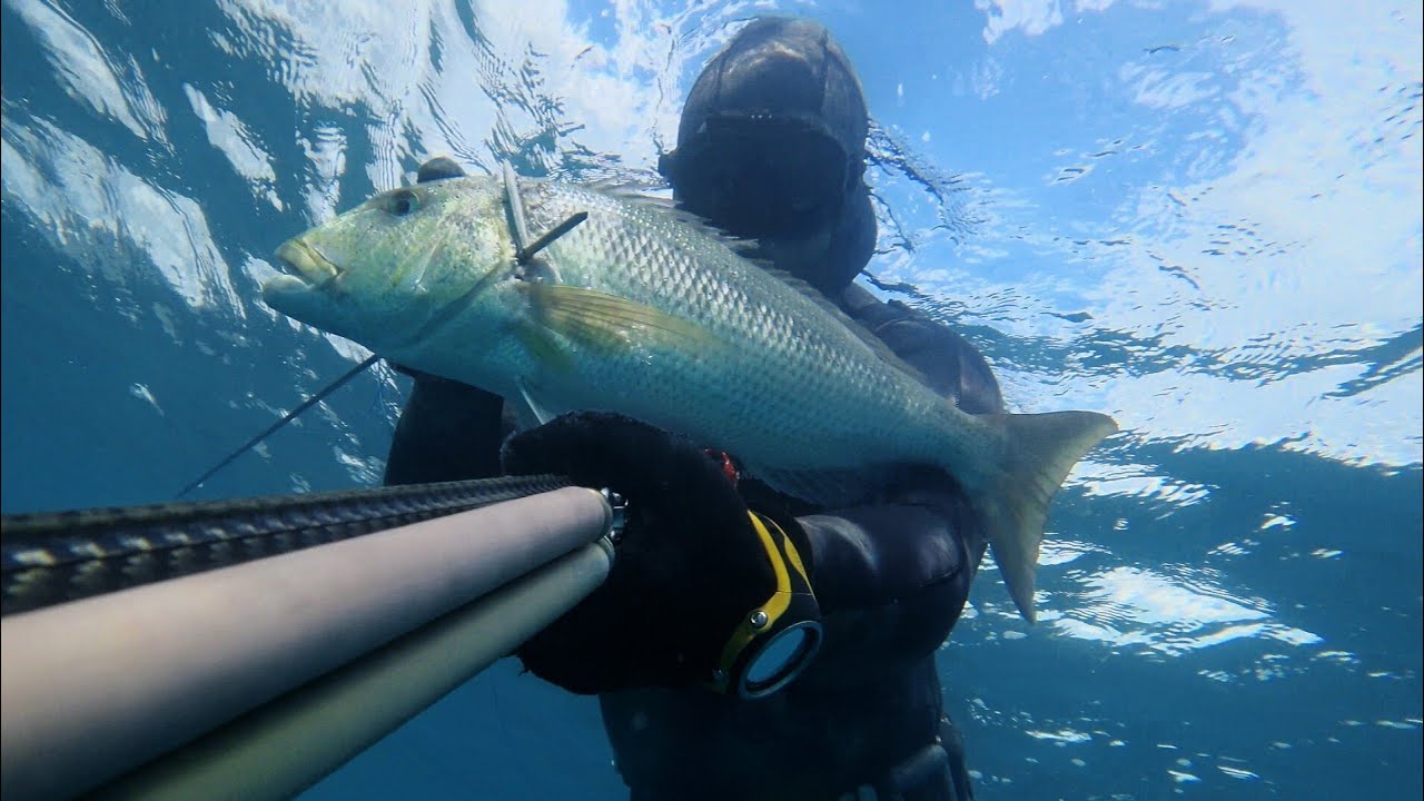 Ρηχό ψαροντούφεκο με κακό καιρό- Shallow spearfishing in rough weather ...