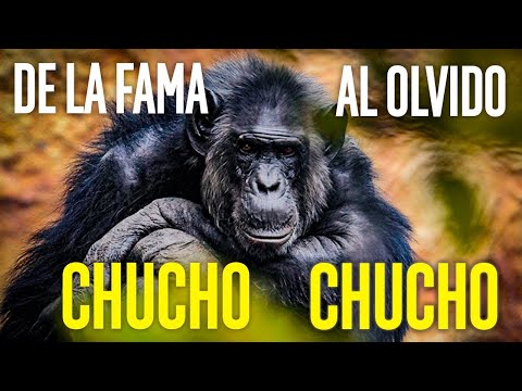 Chucho Chucho, de estrella de cine mexicano al olvido en Zoológico de Chilpancingo