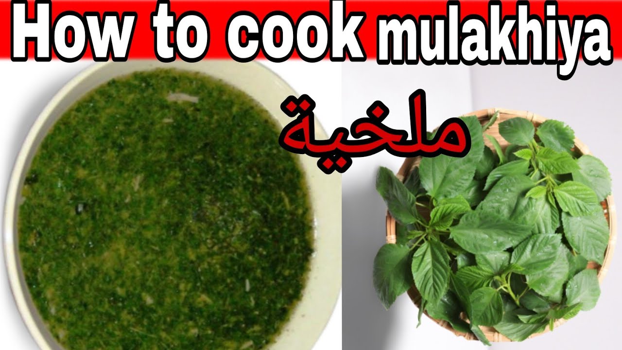 How to cook mulkhiya with chicken | Arabic dish mulkhia | madina foods ...