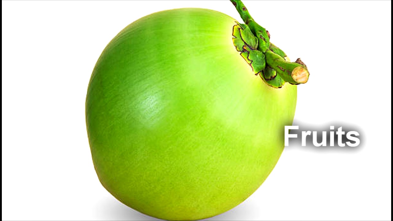 Coconut is NOT a NUT: A Coconut Tree Morphology - YouTube
