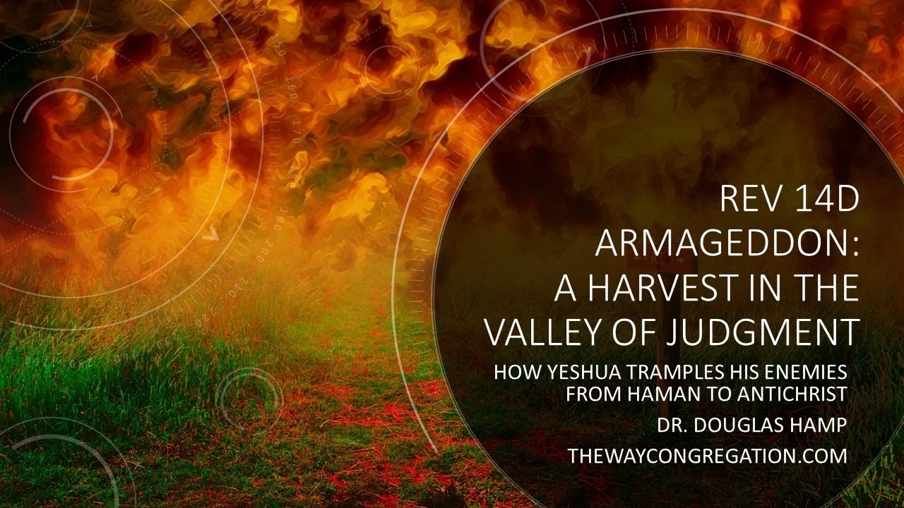 Armageddon (Rev 14d): Harvest in the Valley of Judgment | The Way ...