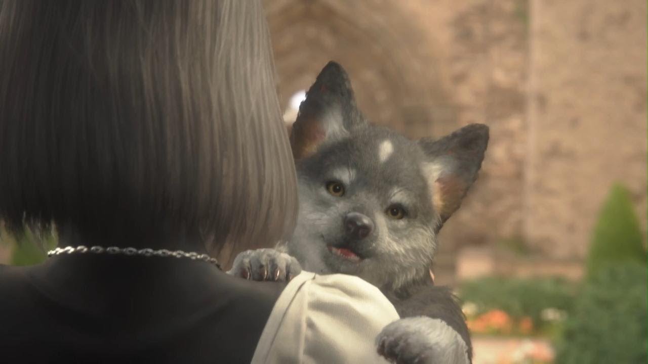 Cute Torgal 🥰 | FINAL FANTASY XVI Demo - YouTube